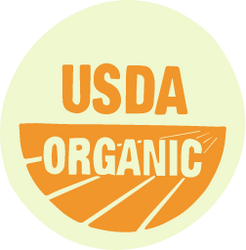 12 Bar Box - Musical Mango